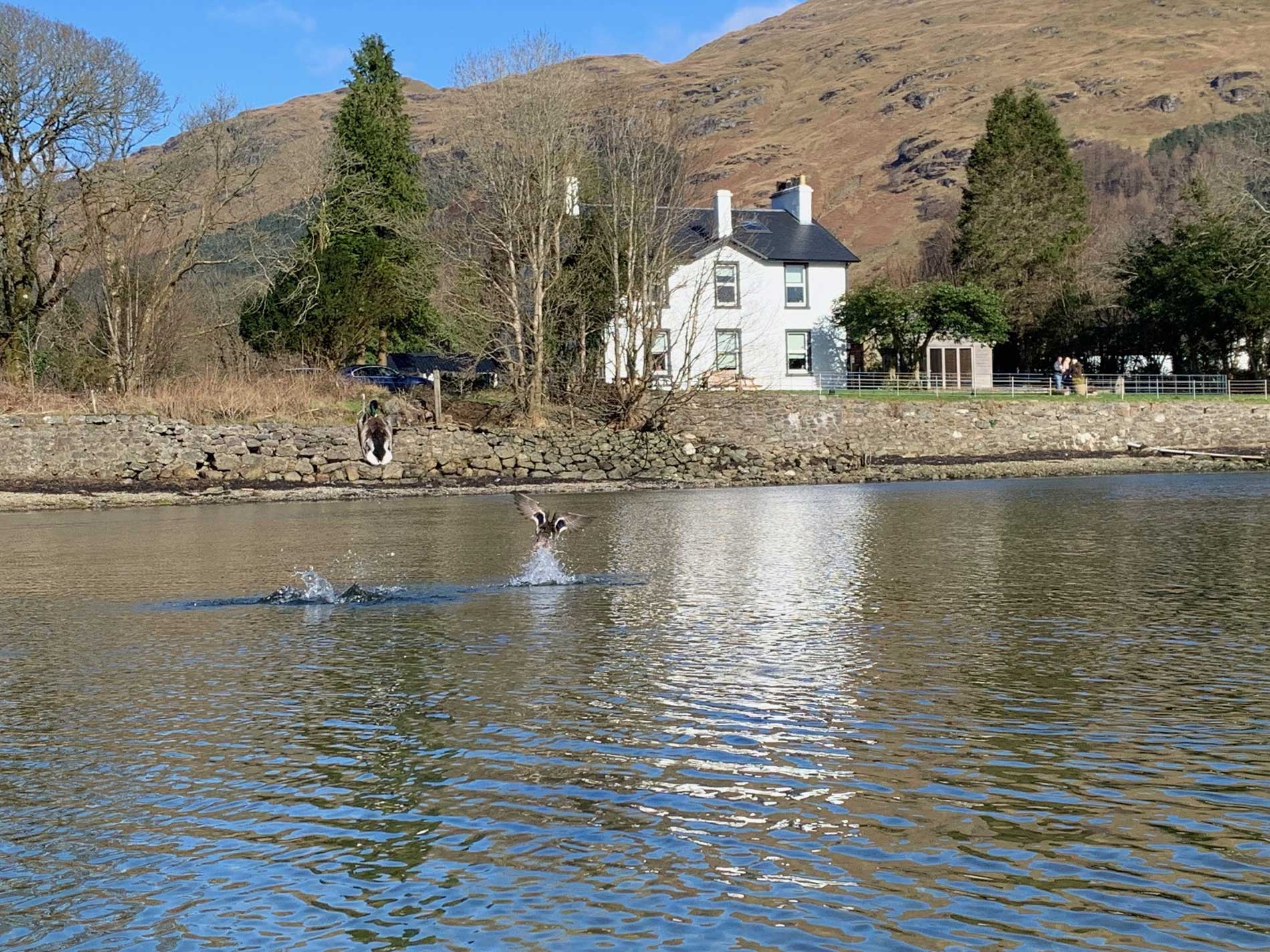 The Shore House - B&B in Lochgoilhead, Scotland